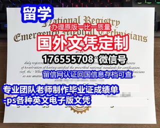 Lincoln biyezheng degree offer diploma Transcript | PPT