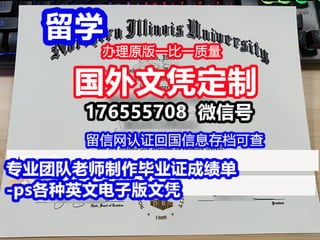 Wintec biyezheng degree offer diploma Transcript | PPT