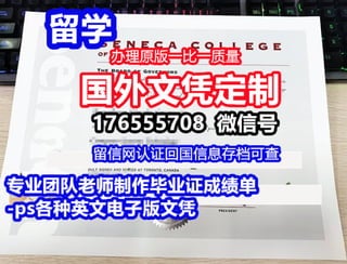 UofM biyezheng degree offer diploma Transcript | PPT