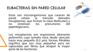 4)_CLASIFICACION_DE_LAS_BACTERIAS…..pptx
