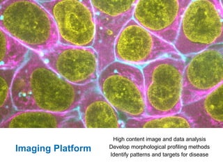 Developing high content image analysis software for biologists | PPT ...