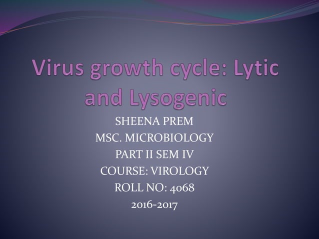 4068 virus growth cycle lytic & lysogenic | PPT