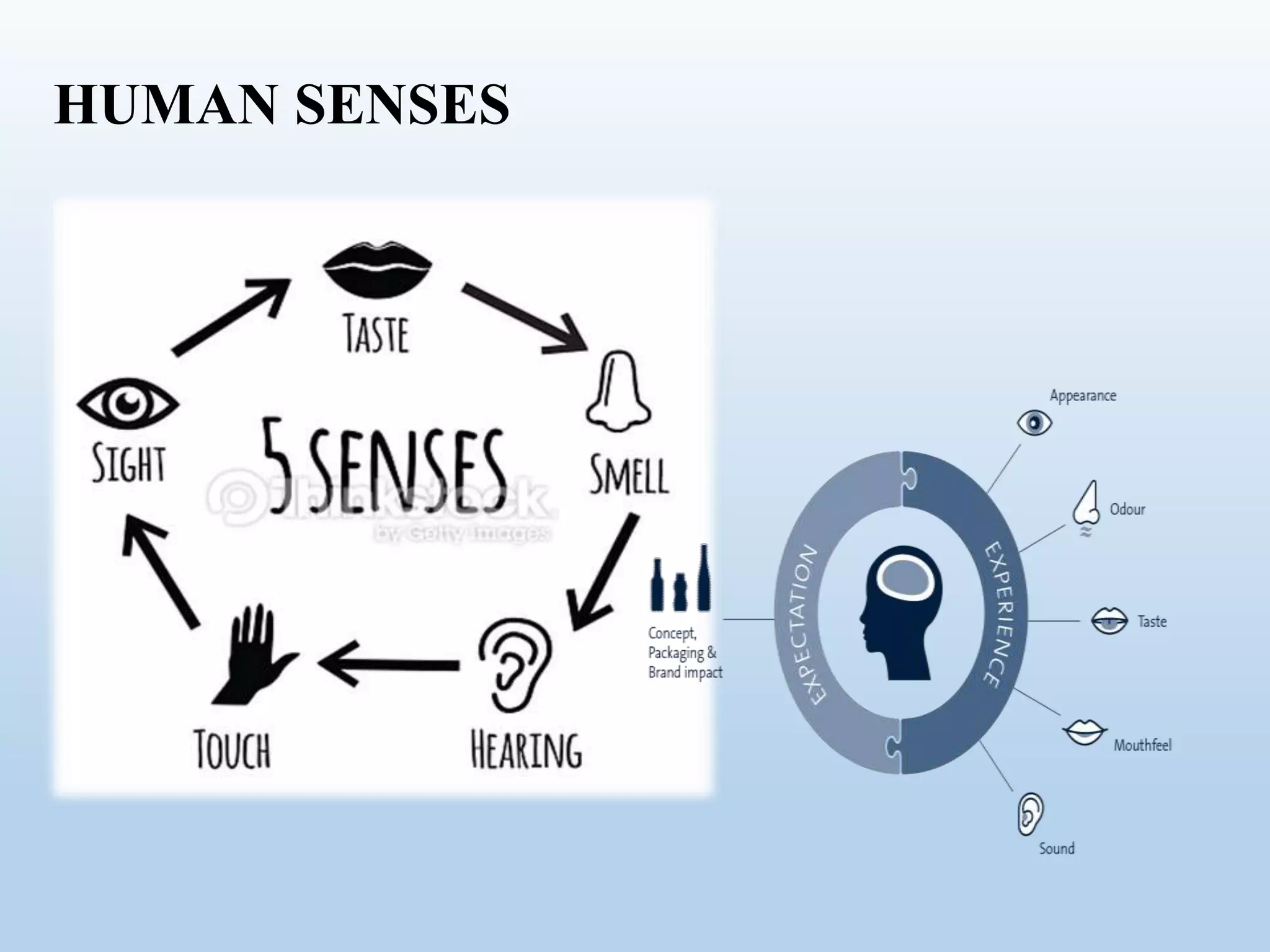 sensory evaluation and requirements, and importance in food industry | PPTX