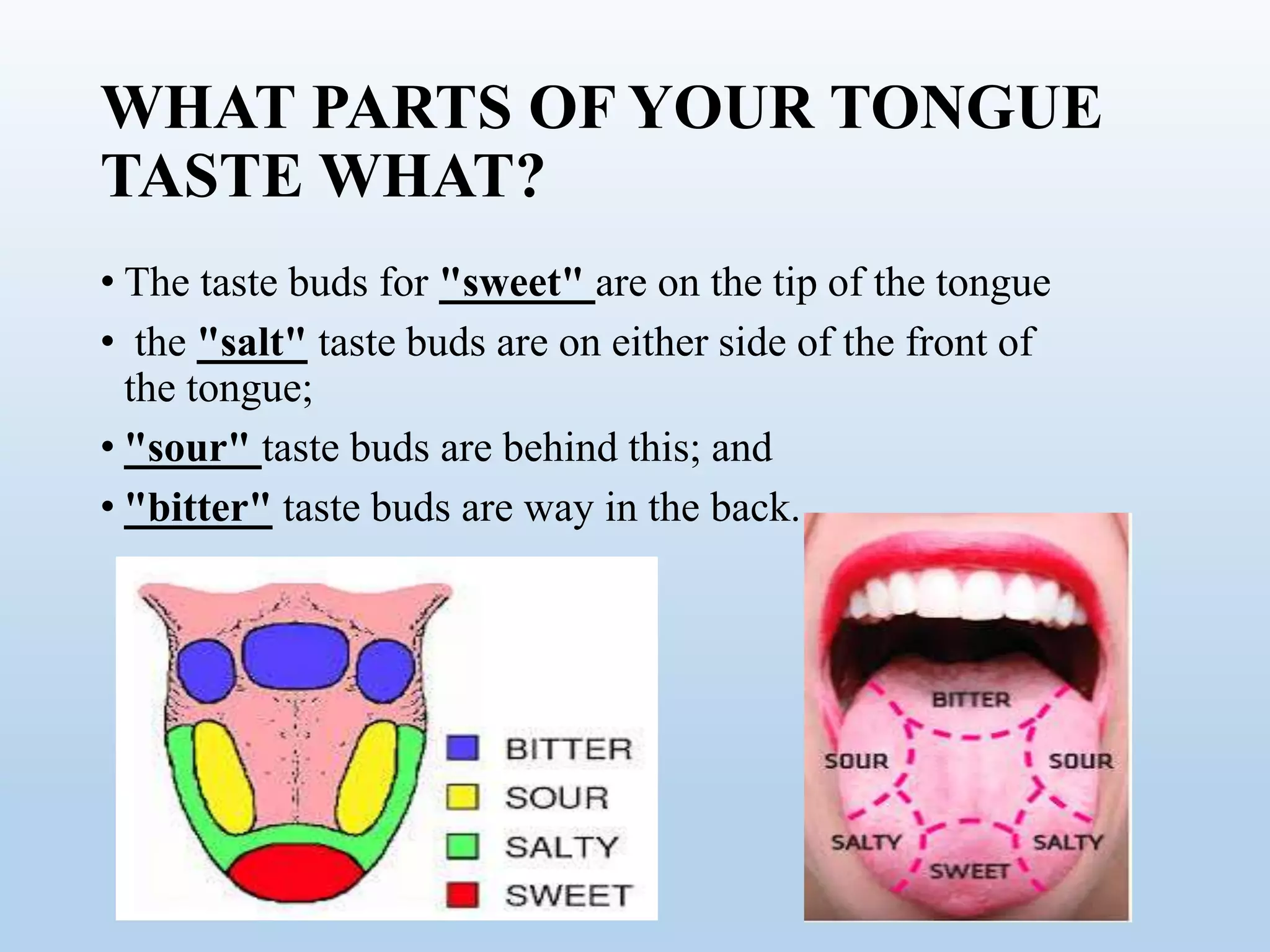 sensory evaluation and requirements, and importance in food industry | PPTX