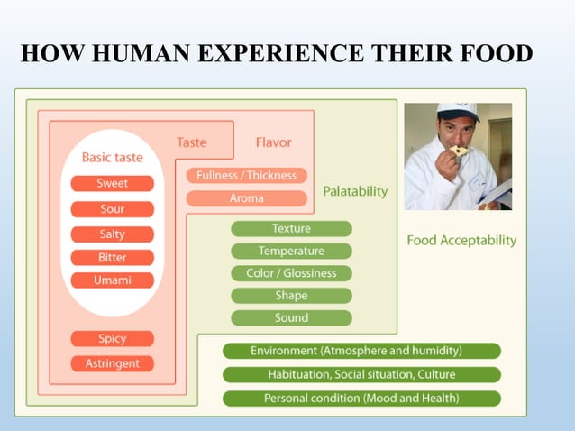 sensory evaluation and requirements, and importance in food industry | PPTX
