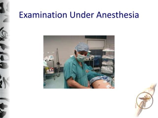 Chengdu instability clinical examination | PPTX