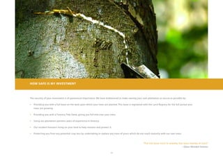 Global Forestry Investments Brochure 2010 | PDF