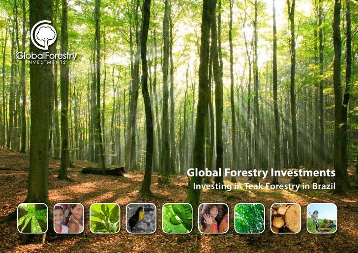 Global Forestry Investments Brochure 2010