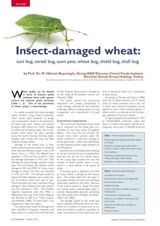 Insect-damaged wheat: suni bug, cereal bug, sunn pest, wheat bug ...