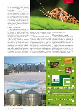 Insect-damaged wheat: suni bug, cereal bug, sunn pest, wheat bug ...