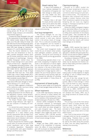 Insect-damaged wheat: suni bug, cereal bug, sunn pest, wheat bug ...