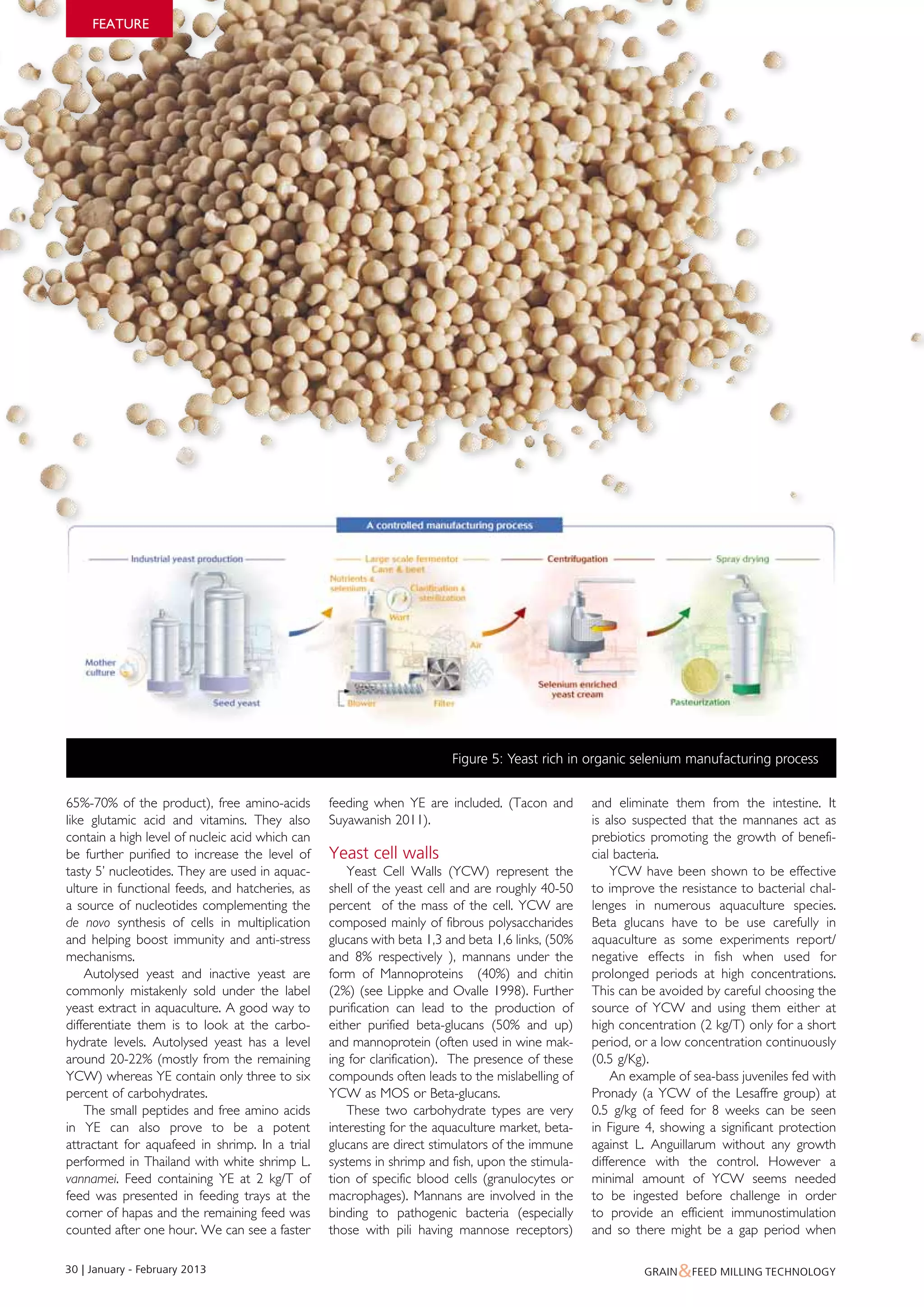 Yeast in aquaculture | PDF