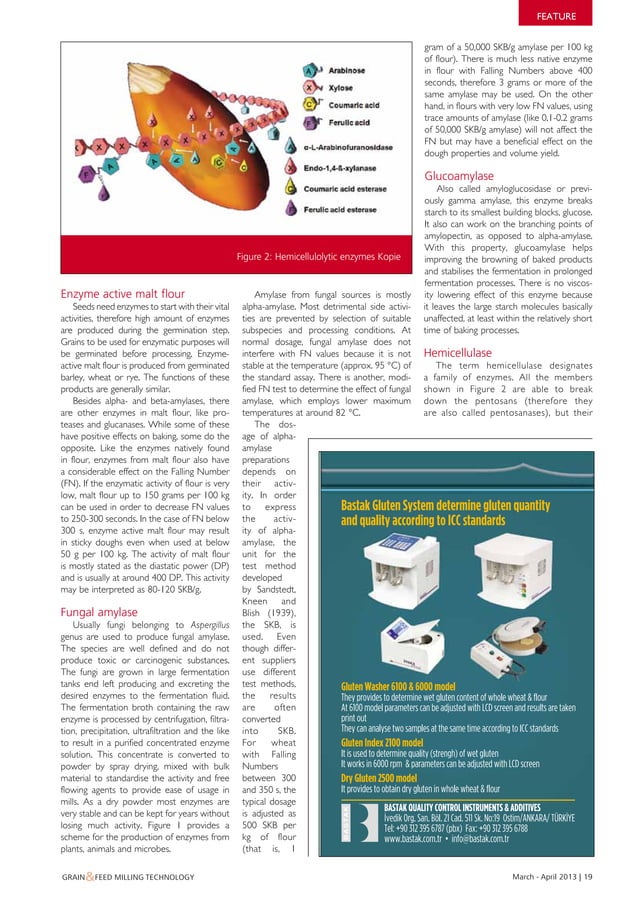 Additives for flour standardisation - Part I: Enzymes | PDF