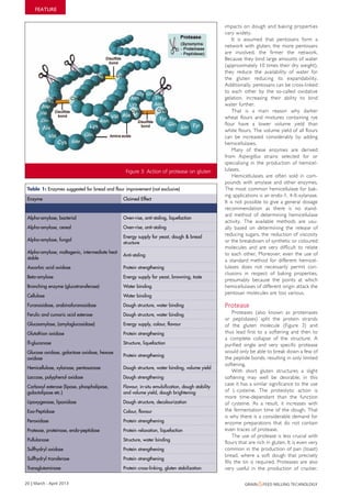 Additives for flour standardisation - Part I: Enzymes | PDF