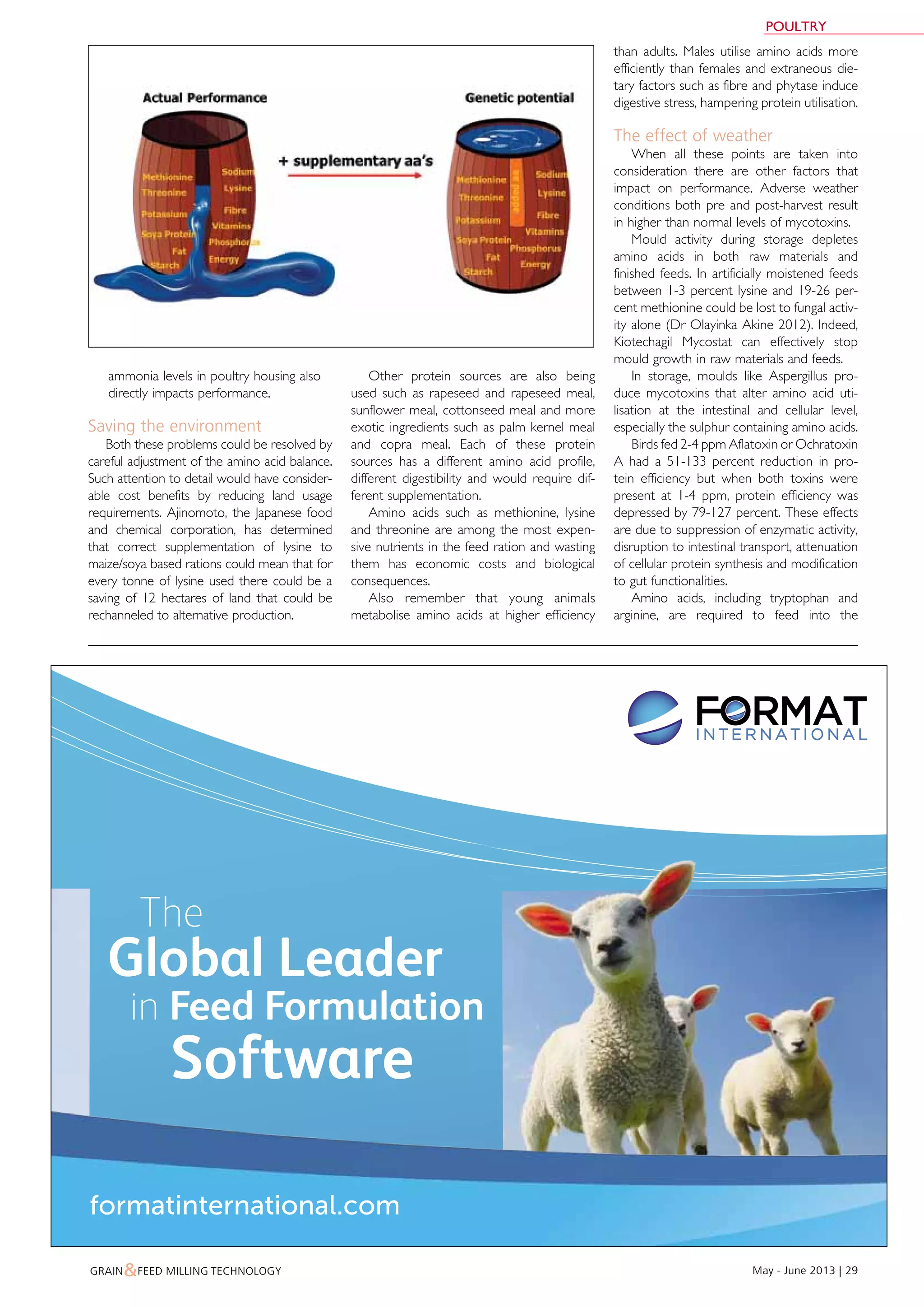 Feed focus - POULTRY | PDF