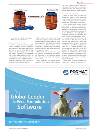 Feed focus - POULTRY | PDF