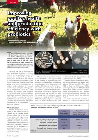 Improving poultry health and production efficiency with probiotics ...