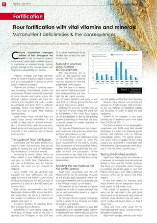 Flour fortification with vital vitamins and minerals - Micronutrient ...
