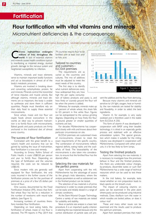 Flour fortification with vital vitamins and minerals - Micronutrient ...