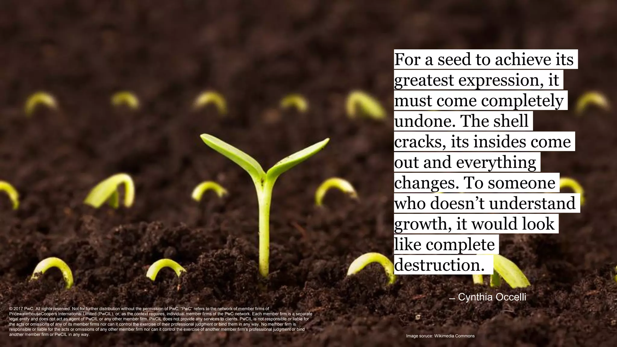 Unlocking the value of customer (or citizen) experience (Cx) | PDF