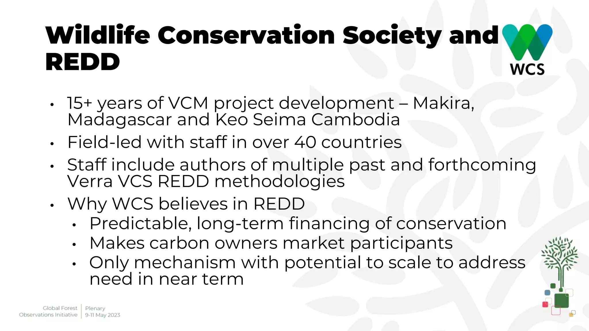 Realizing the promise of REDD: New approaches in voluntary carbon ...