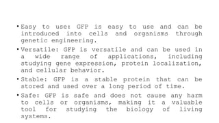 GFP in rDNA Technology (Biotechnology).pptx