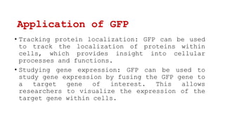 GFP in rDNA Technology (Biotechnology).pptx