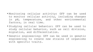 GFP in rDNA Technology (Biotechnology).pptx