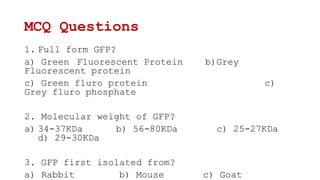 GFP in rDNA Technology (Biotechnology).pptx