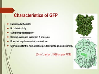 Gfp application in bacterial dynamics and disease diagnosis | PPTX