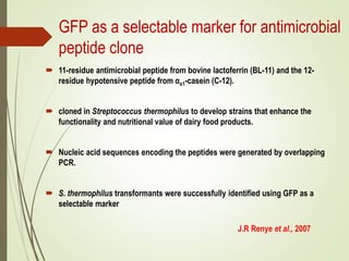 Gfp application in bacterial dynamics and disease diagnosis | PPTX