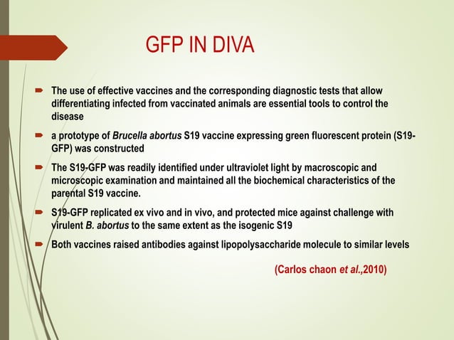 Gfp application in bacterial dynamics and disease diagnosis | PPTX