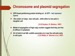 Gfp application in bacterial dynamics and disease diagnosis | PPTX