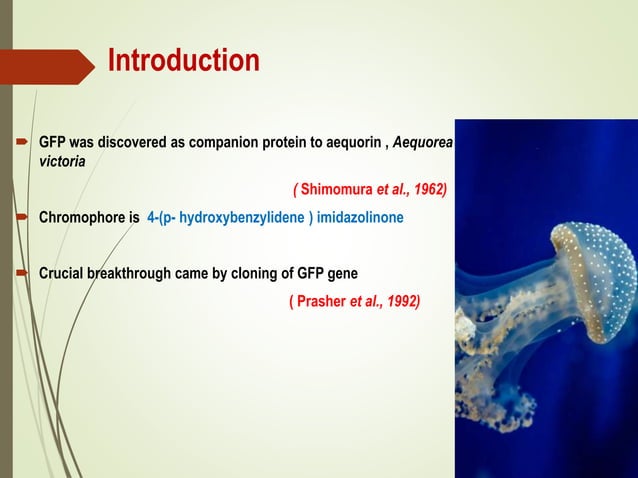 Gfp application in bacterial dynamics and disease diagnosis | PPTX