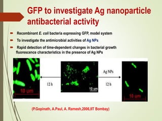 Gfp application in bacterial dynamics and disease diagnosis | PPTX