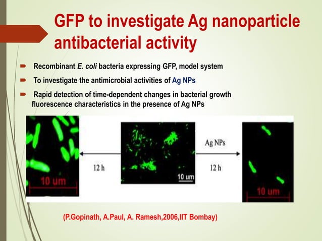 Gfp application in bacterial dynamics and disease diagnosis | PPTX