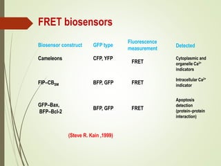 Gfp application in bacterial dynamics and disease diagnosis | PPTX