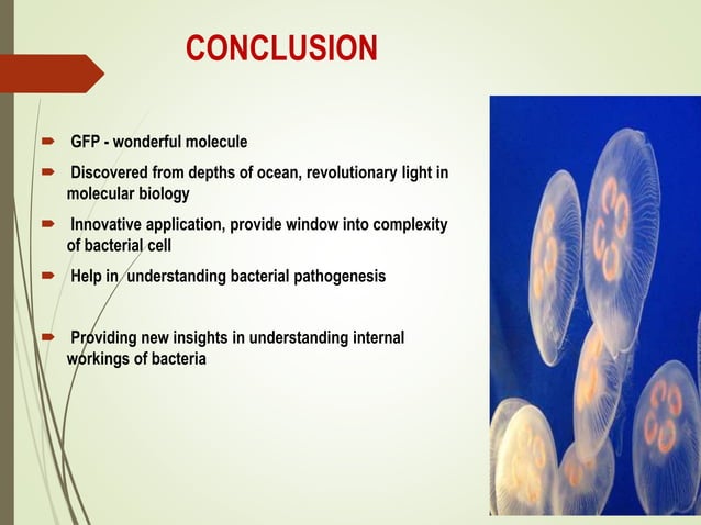 Gfp application in bacterial dynamics and disease diagnosis | PPTX