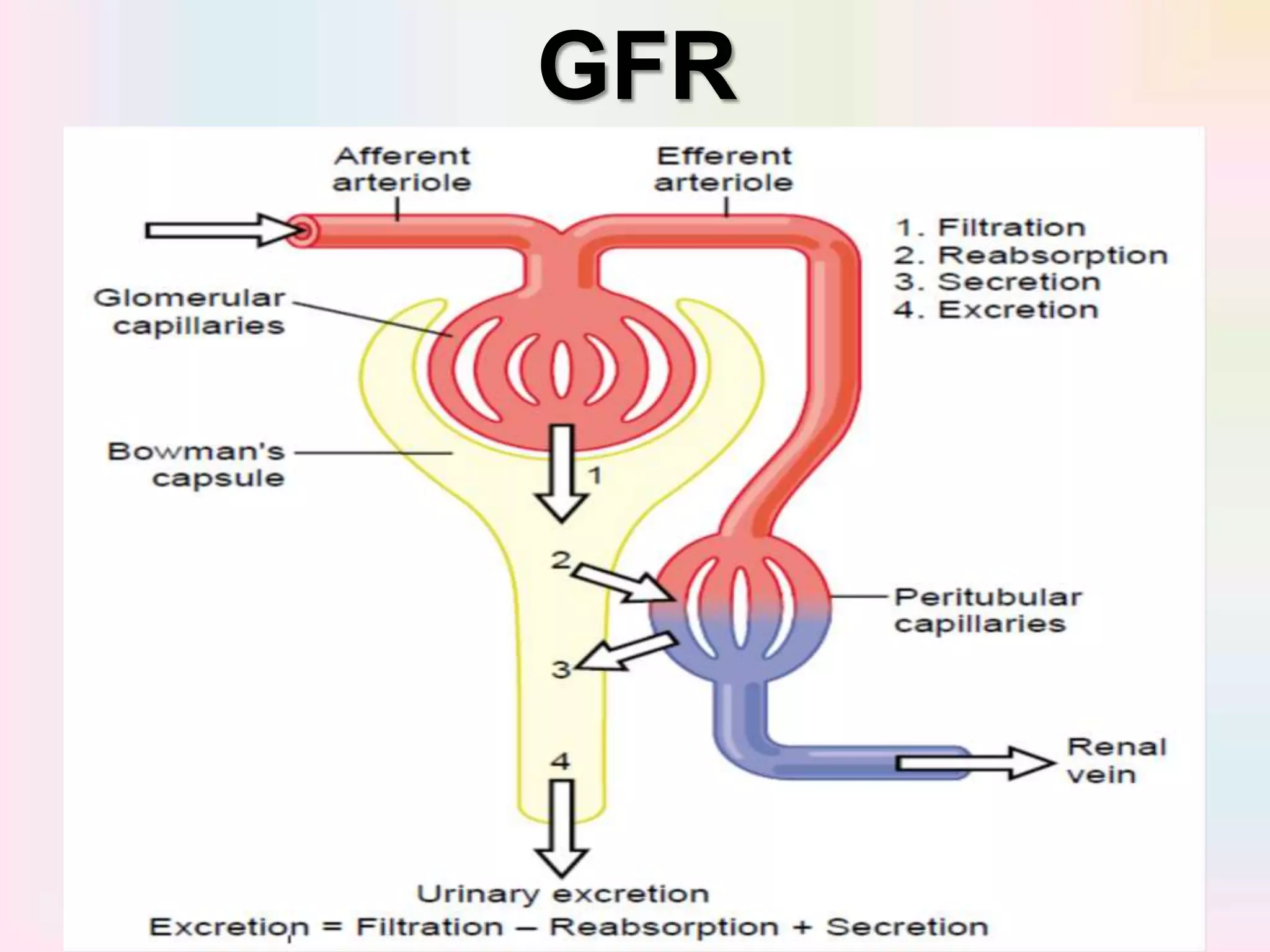 Gfr | PPTX