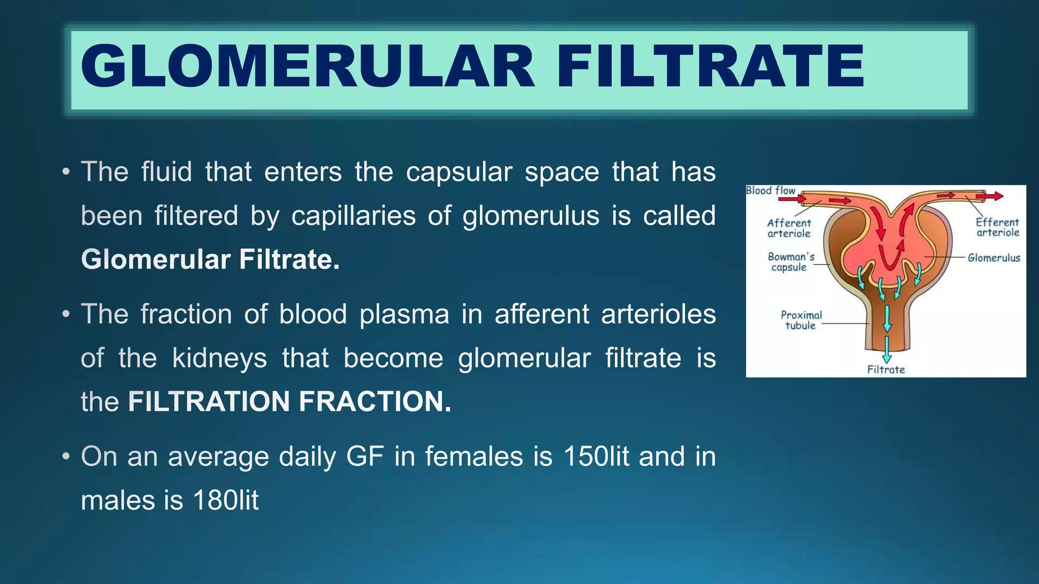GLOMERULAR FILTRATION /TUBULAR REABSORPTION AND SECRETION | PPTX