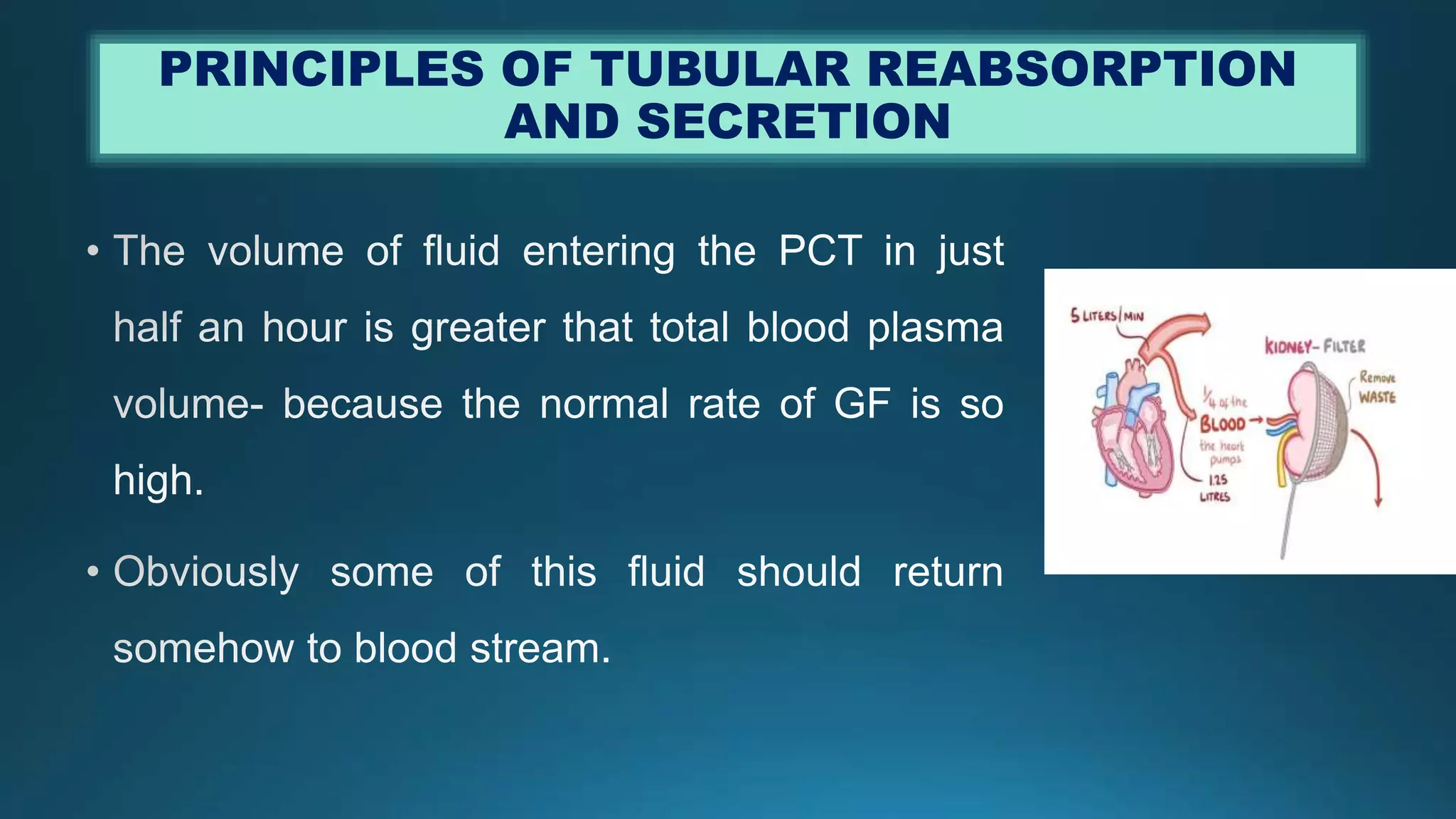 GLOMERULAR FILTRATION /TUBULAR REABSORPTION AND SECRETION | PPTX