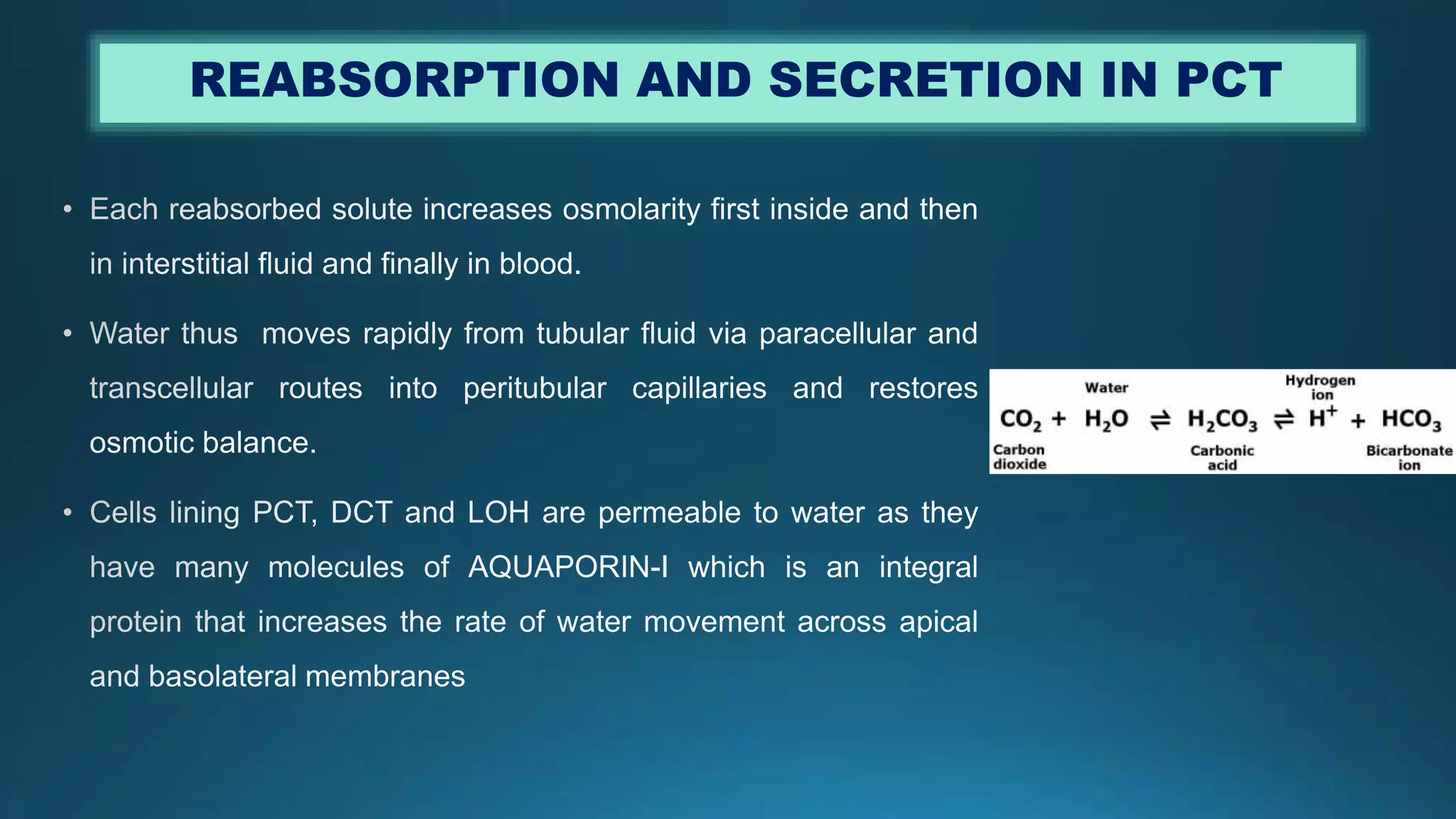 GLOMERULAR FILTRATION /TUBULAR REABSORPTION AND SECRETION | PPTX