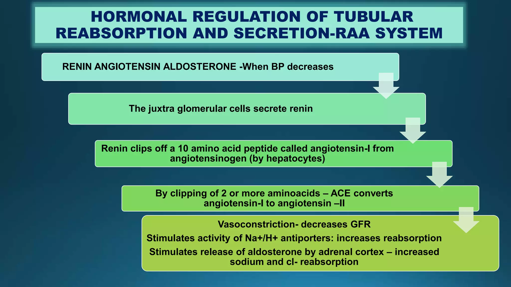 GLOMERULAR FILTRATION /TUBULAR REABSORPTION AND SECRETION | PPTX