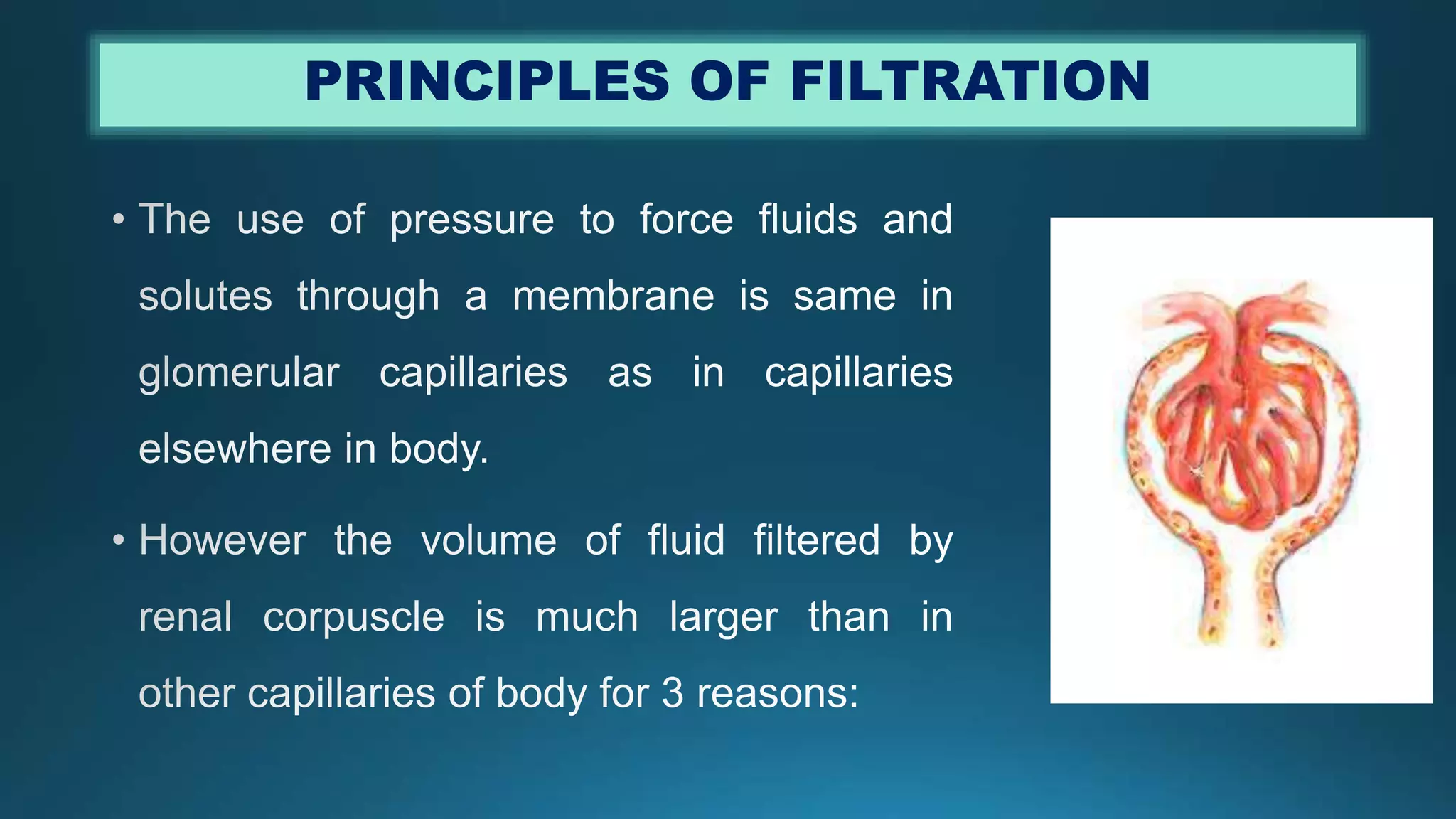 GLOMERULAR FILTRATION /TUBULAR REABSORPTION AND SECRETION | PPTX