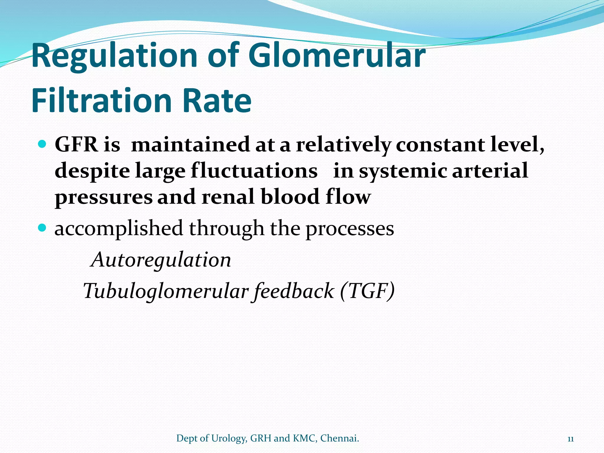 Determinant of Glomerular Filtration | PPT
