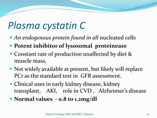 Determinant of Glomerular Filtration | PDF