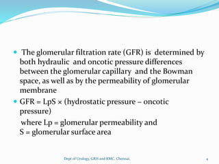 Determinant of Glomerular Filtration | PPT