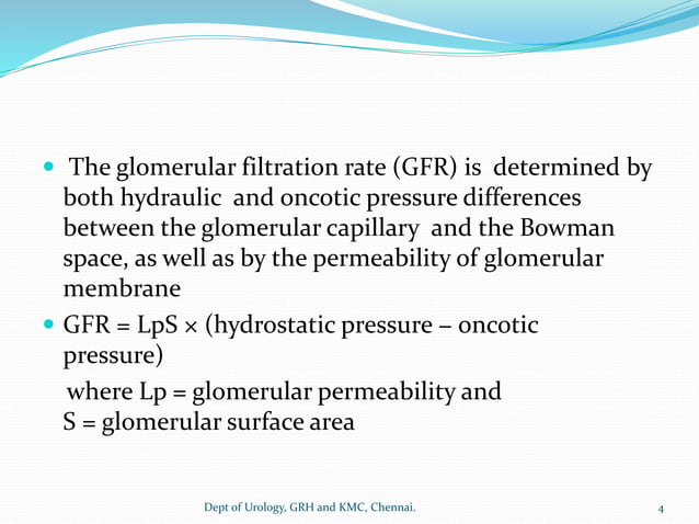 Determinant of Glomerular Filtration | PPT
