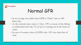 GFR (Glomerular Filtration Rate) - Physiology | PDF