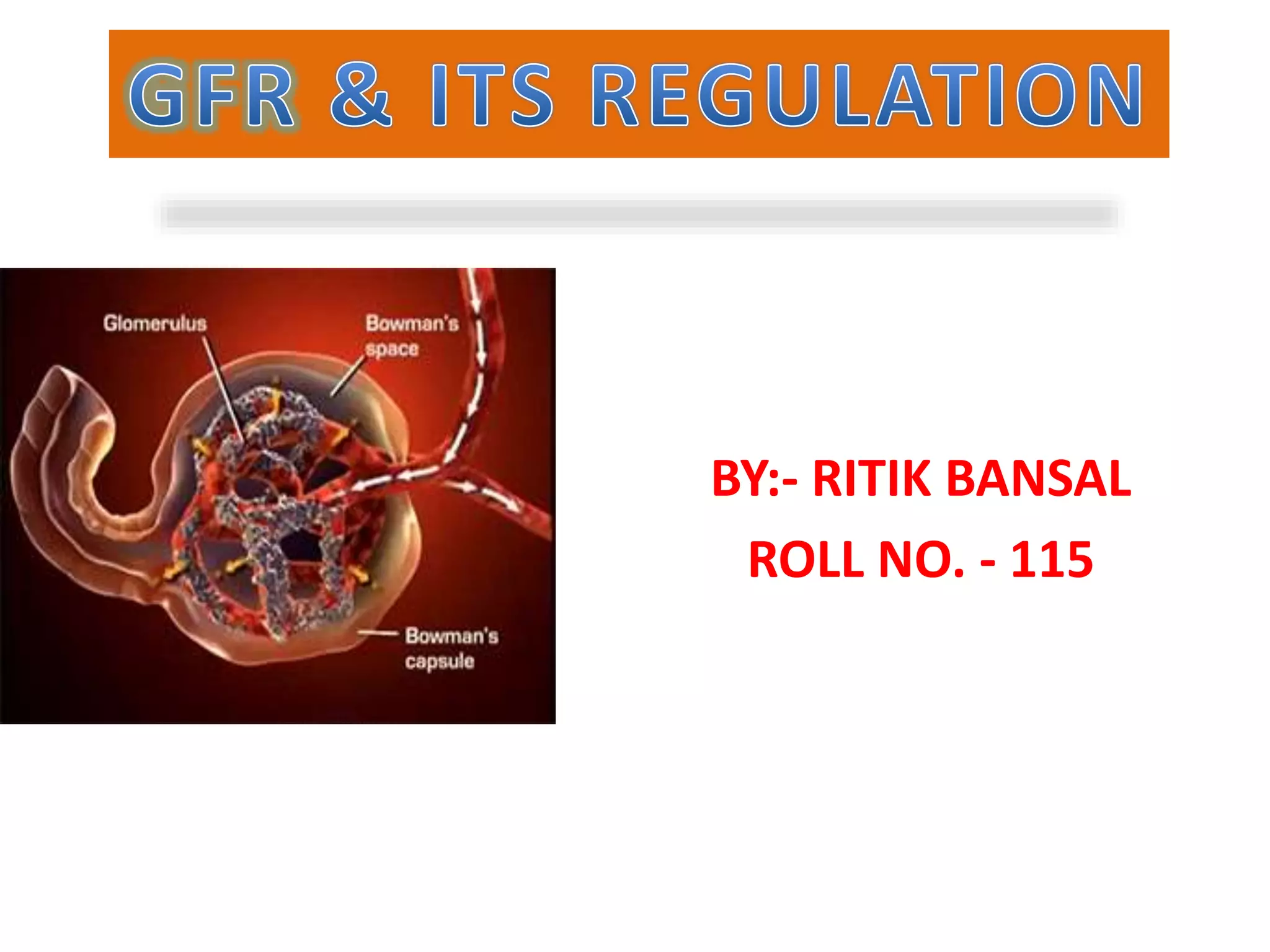 gfr and its regulation.pptx
